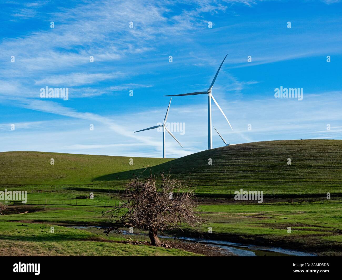 Shiloh Wind Farms, Rio Vista, California Stock Photo - Alamy