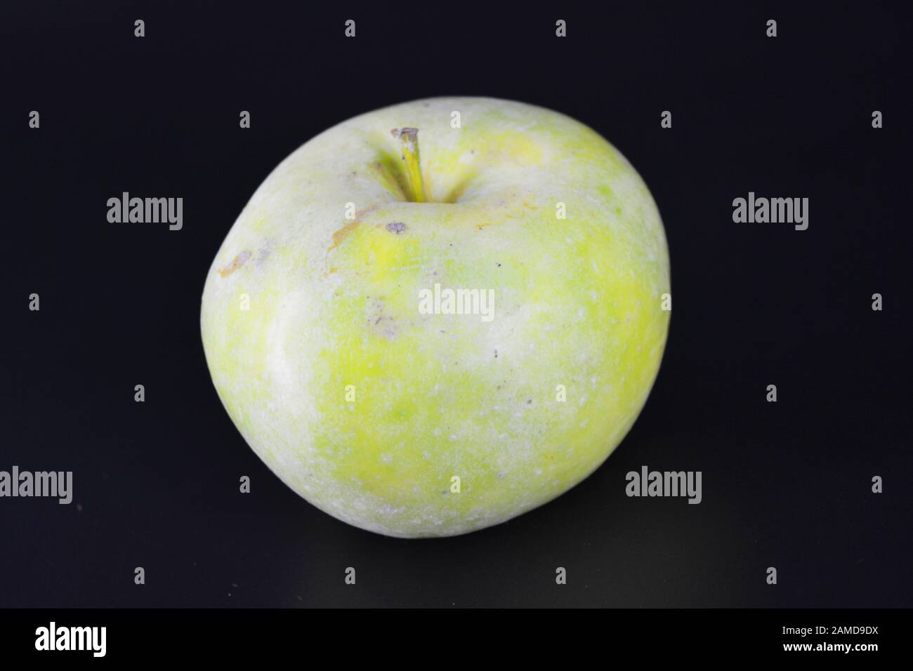 A large bright juicy green yellow apple, varieties Renet Simirenko is ...