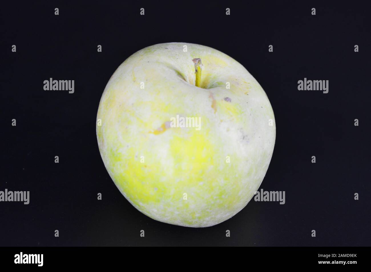 Yellow Apple Varieties