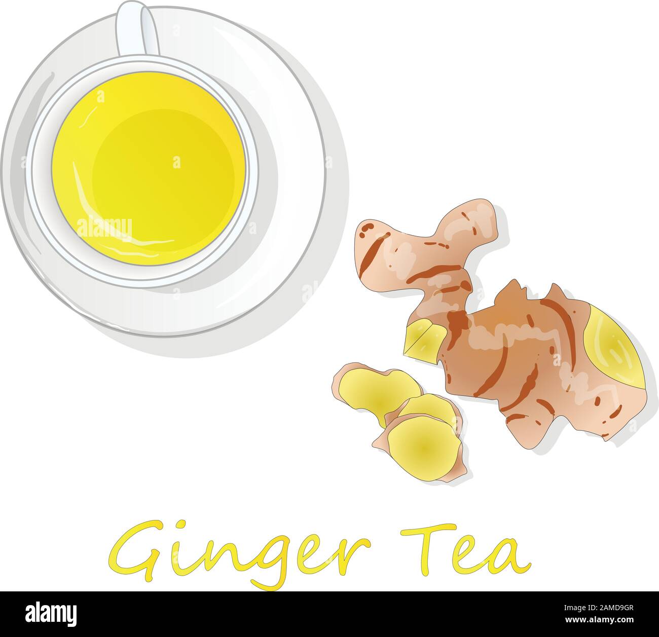 Ginger tea vector illustration isolated set top view. White background ...