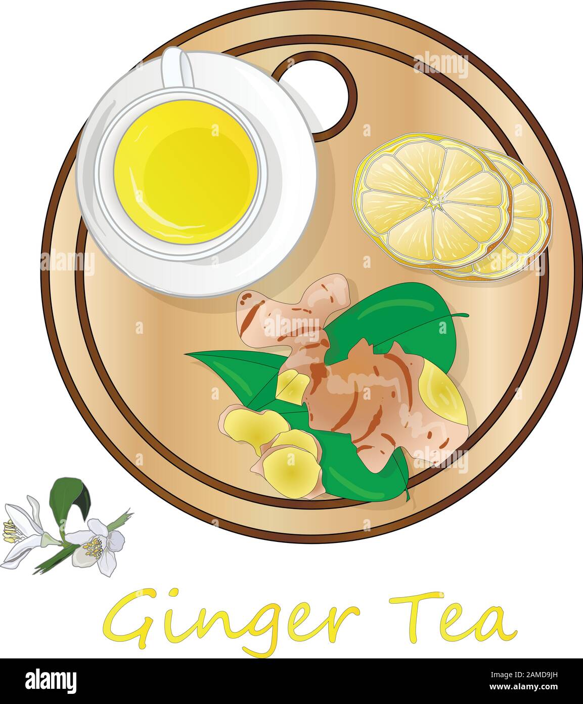 Ginger tea vector illustration isolated set top view. White background ...