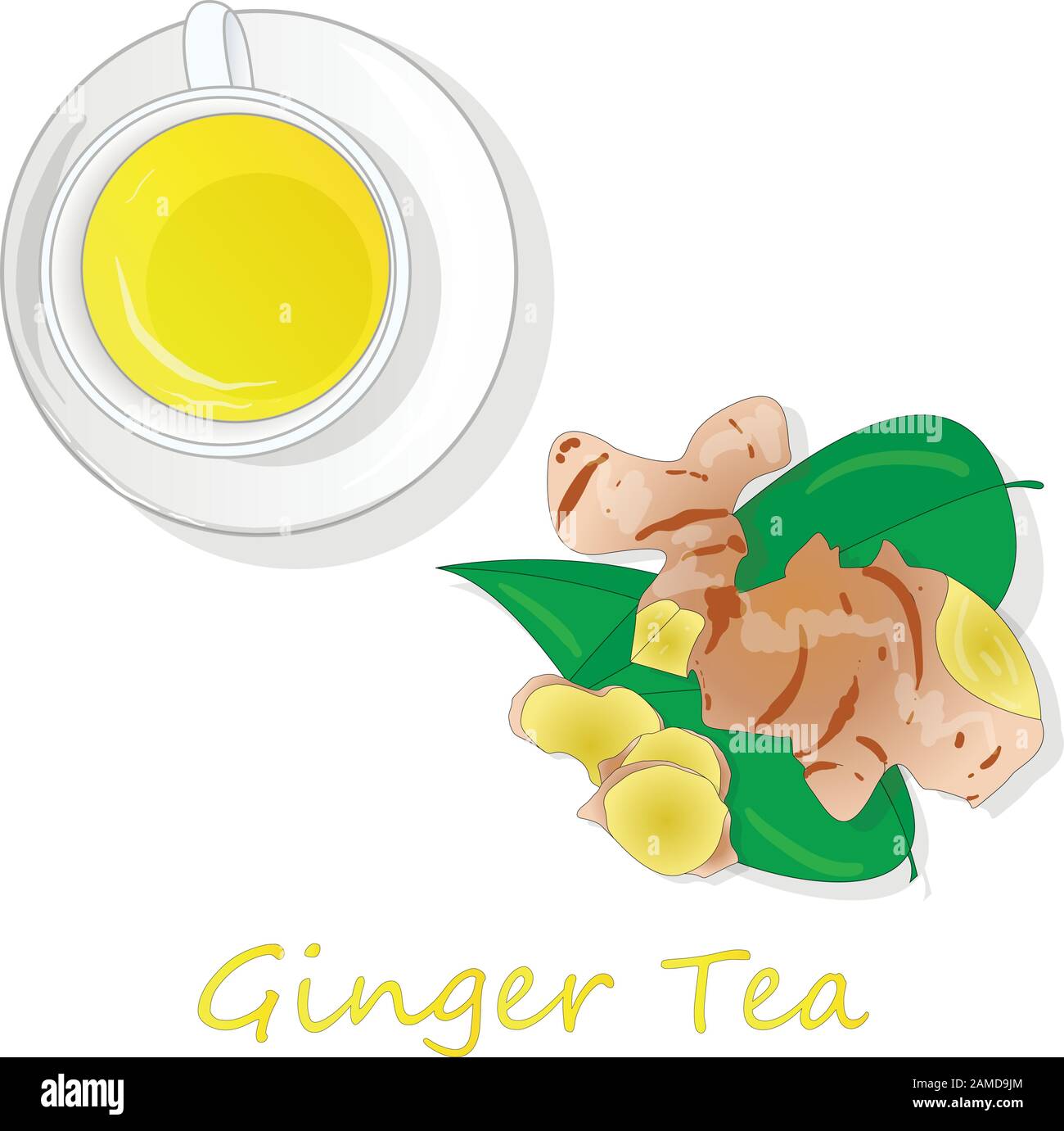 Ginger tea vector illustration isolated set top view. White background ...