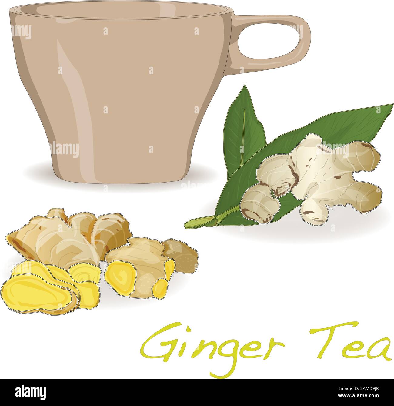 Ginger tea vector illustration isolated set white background Stock ...