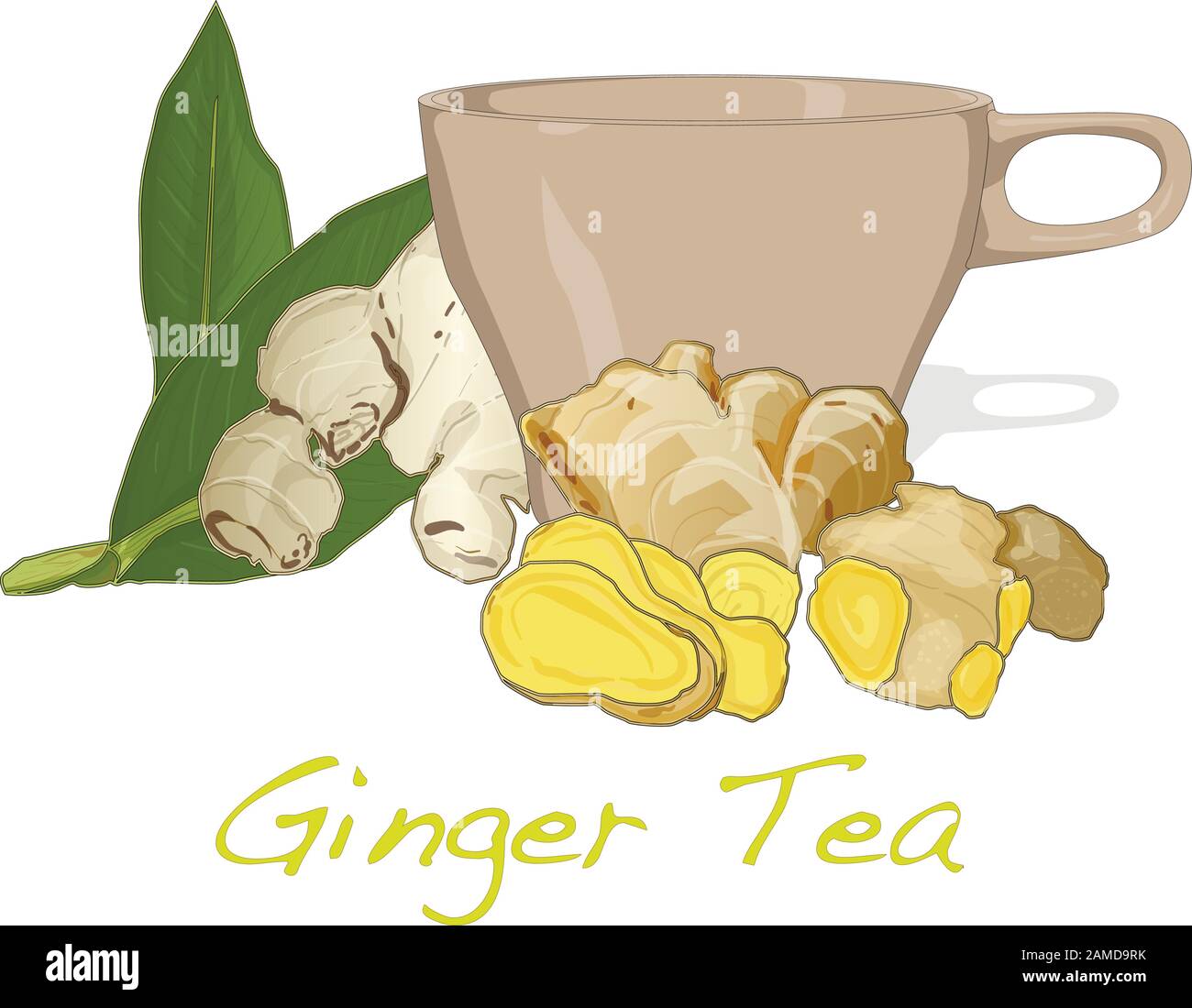 Ginger tea vector illustration isolated set white background Stock ...