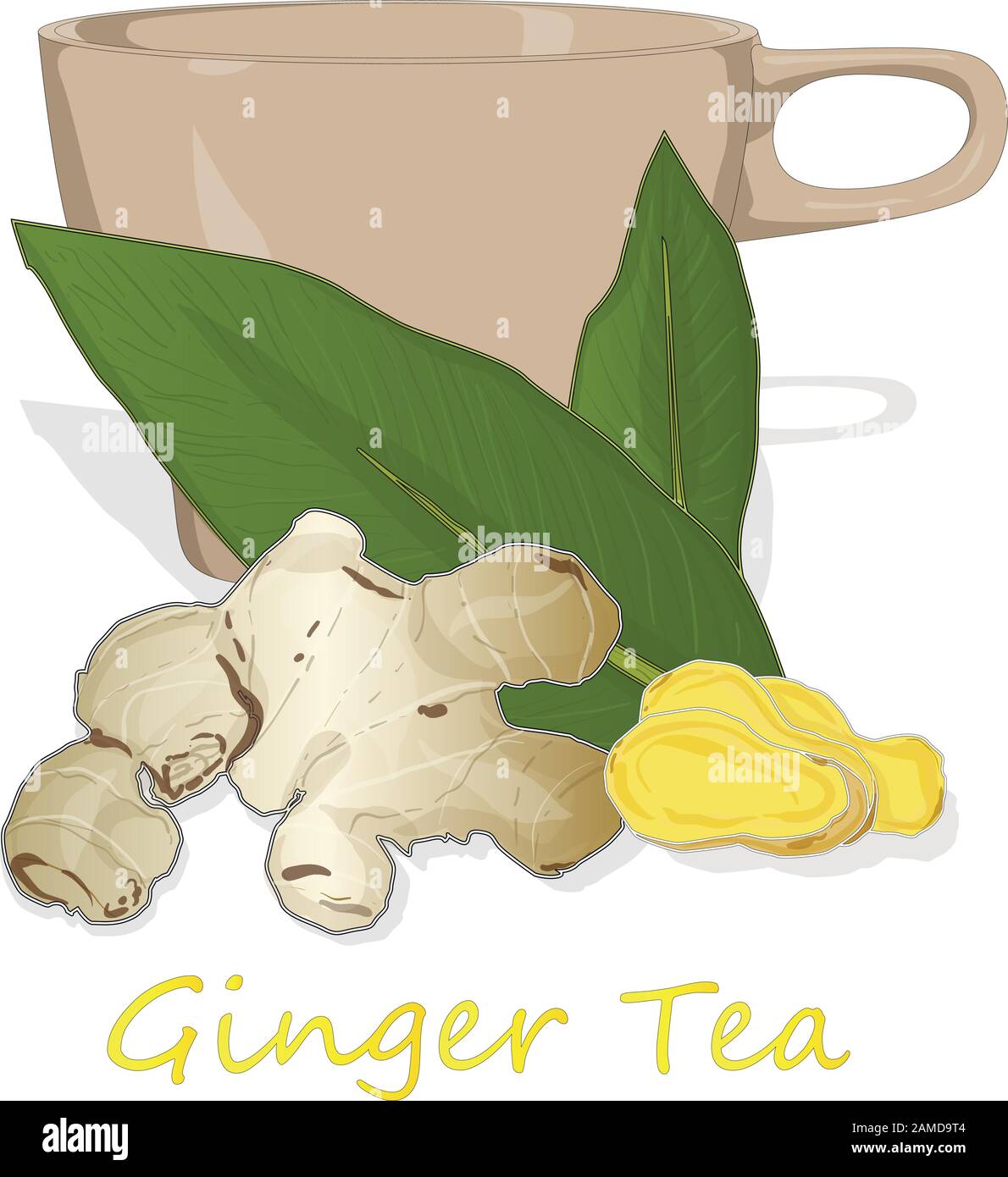 Ginger tea vector illustration isolated set white background Stock ...