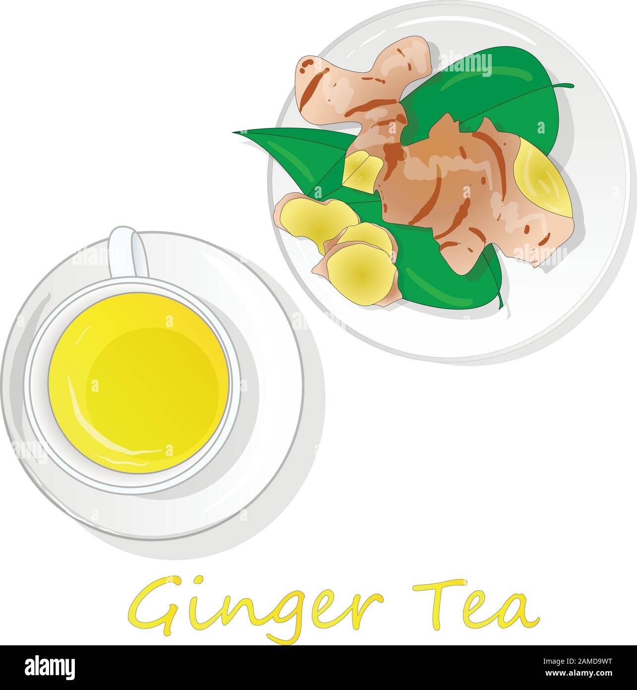 Ginger tea vector illustration isolated set top view. White background ...