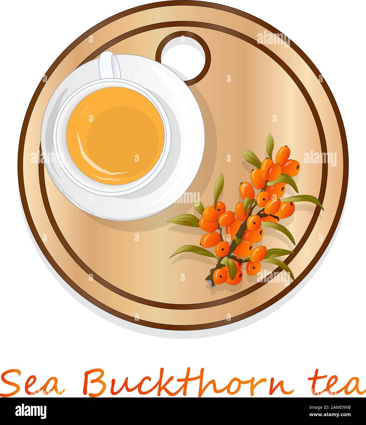 Cup of sea buckthorn tea on the dish. Branch of sea buckthorn berries ...