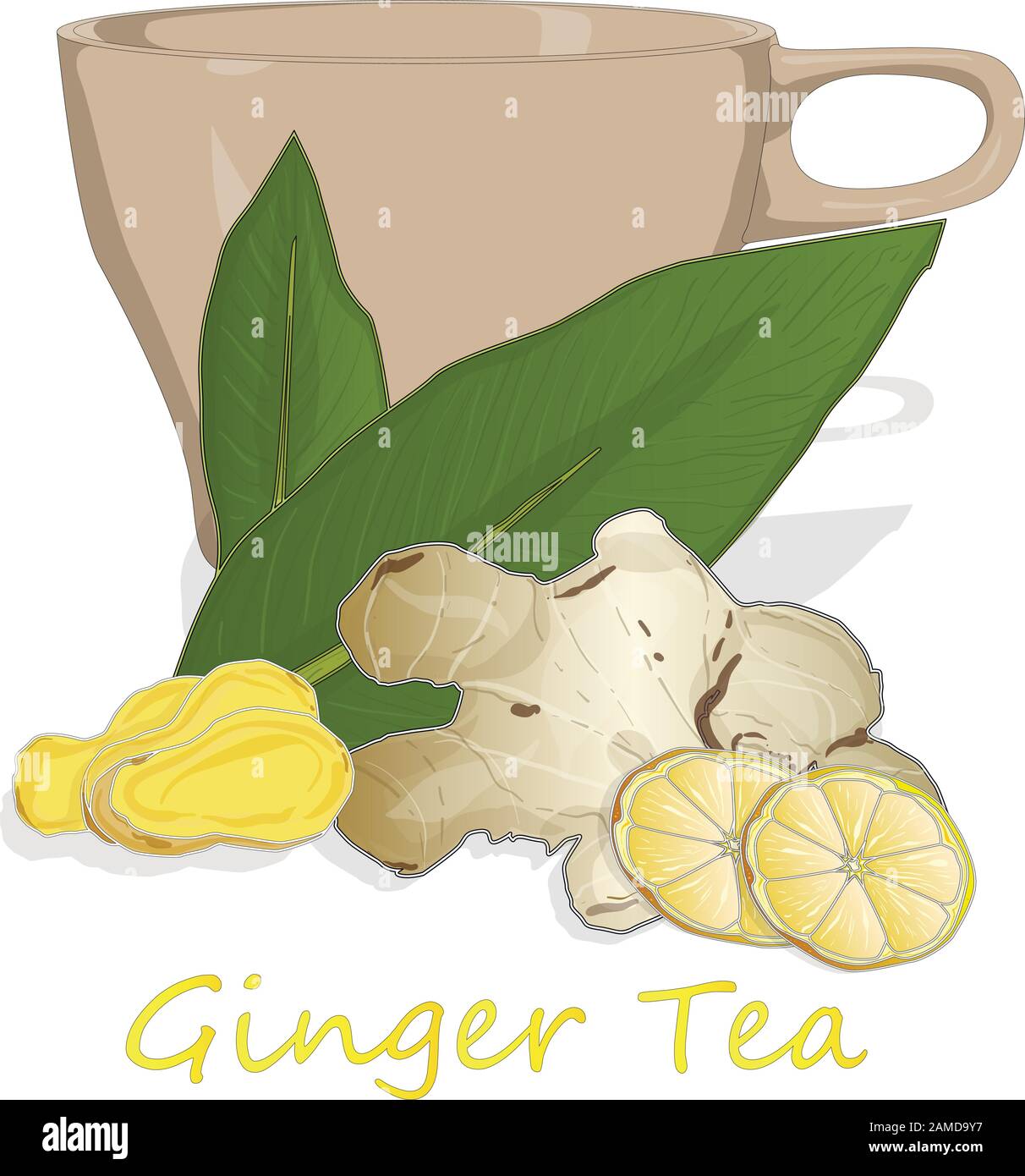 Ginger tea vector illustration isolated set white background Stock ...
