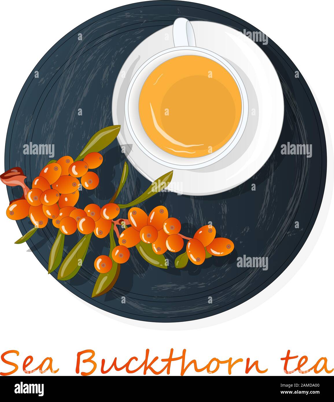 Cup of sea buckthorn tea on the dish. Branch of sea buckthorn berries ...
