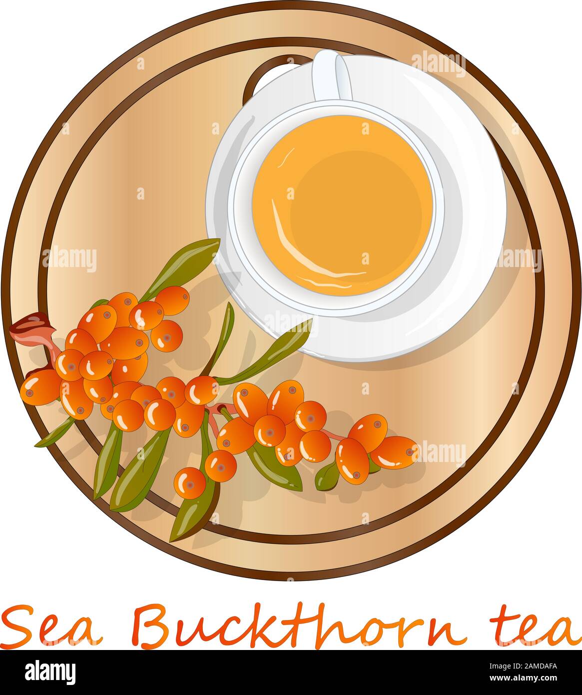 Cup of sea buckthorn tea on the dish. Branch of sea buckthorn berries ...