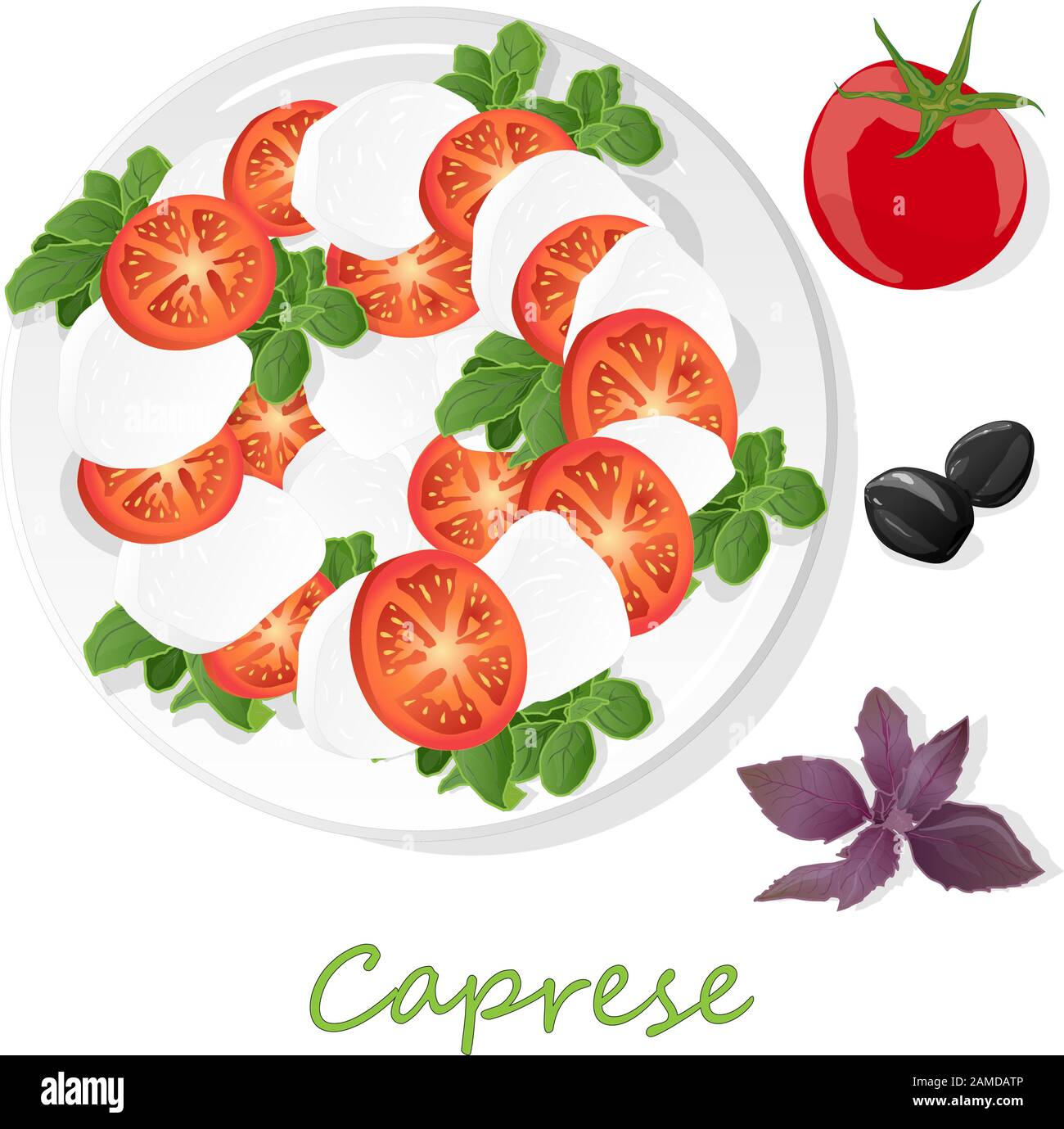 Vector illustration of delicious caprese salad with ripe tomatoes and ...