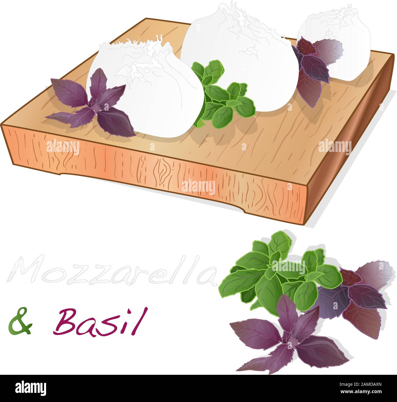 Traditional Italian Mozzarella cheese and basil on plate. White ...