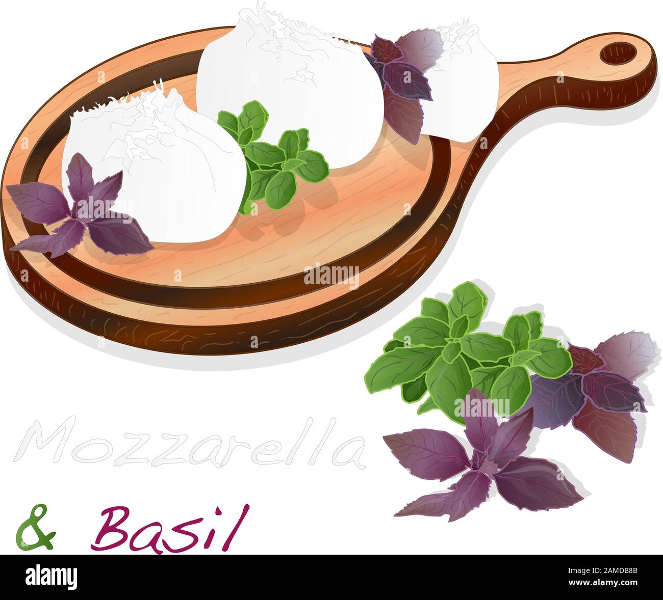 Traditional Italian Mozzarella cheese and basil on plate. White ...