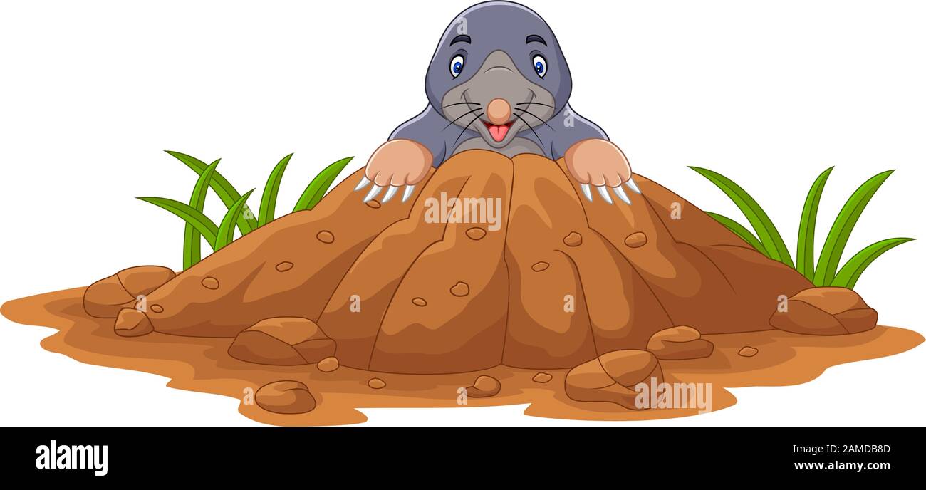 Cartoon mole come out of the hole Stock Vector Image & Art - Alamy