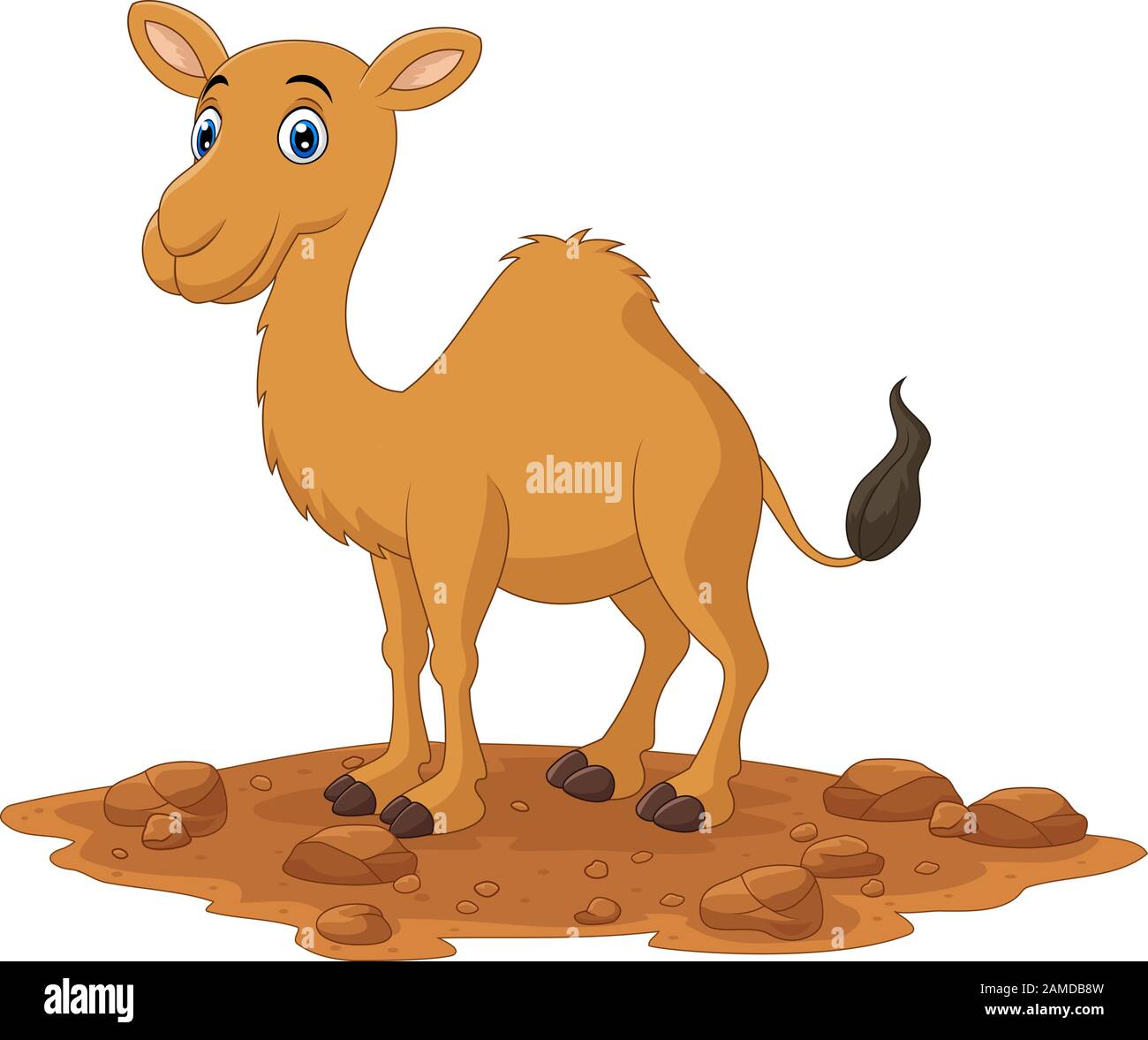 Cartoon camel isolated on white background Stock Vector Image & Art - Alamy