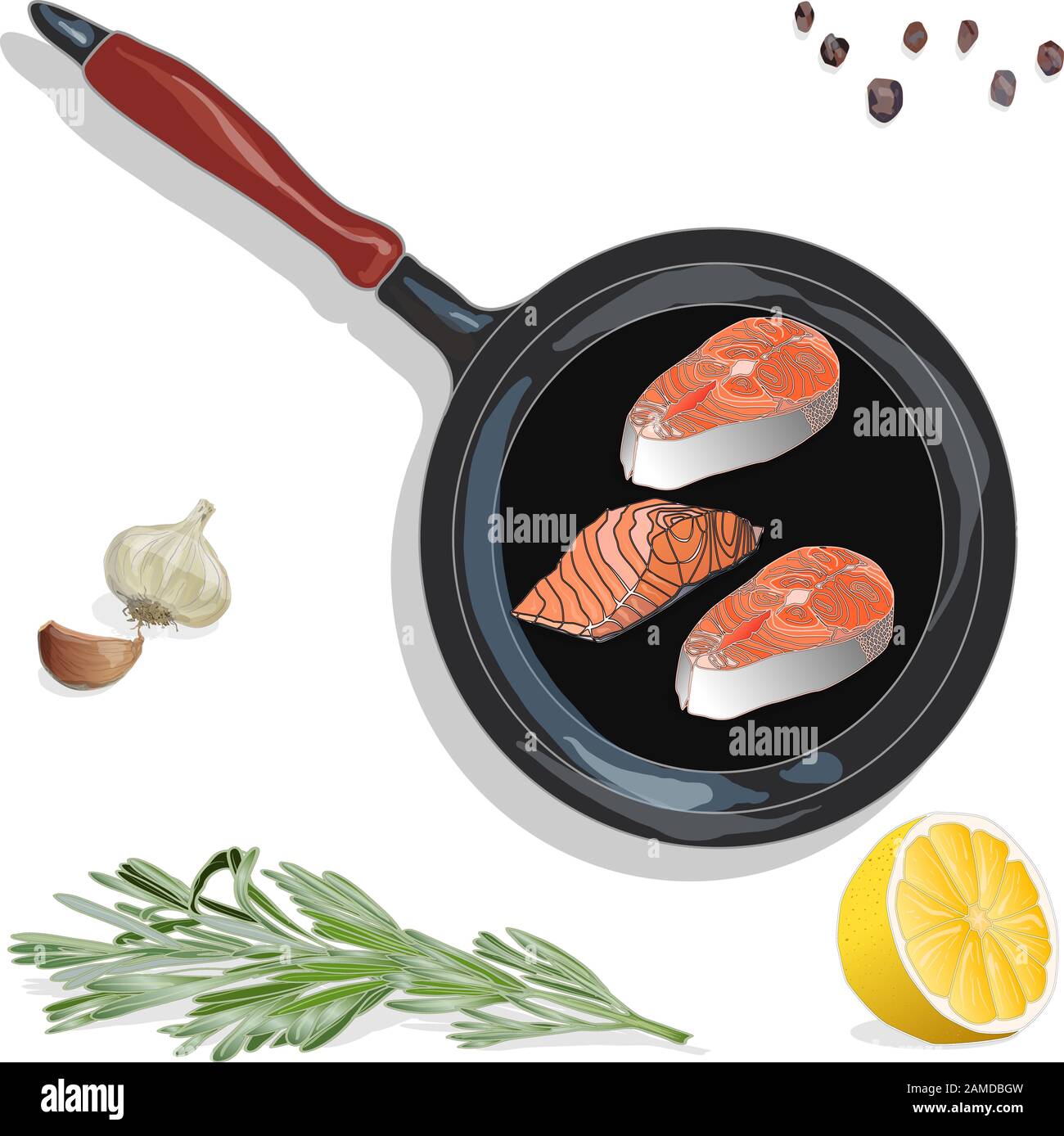 Raw salmon fillets on the pan with herbs. White background. Vector ...
