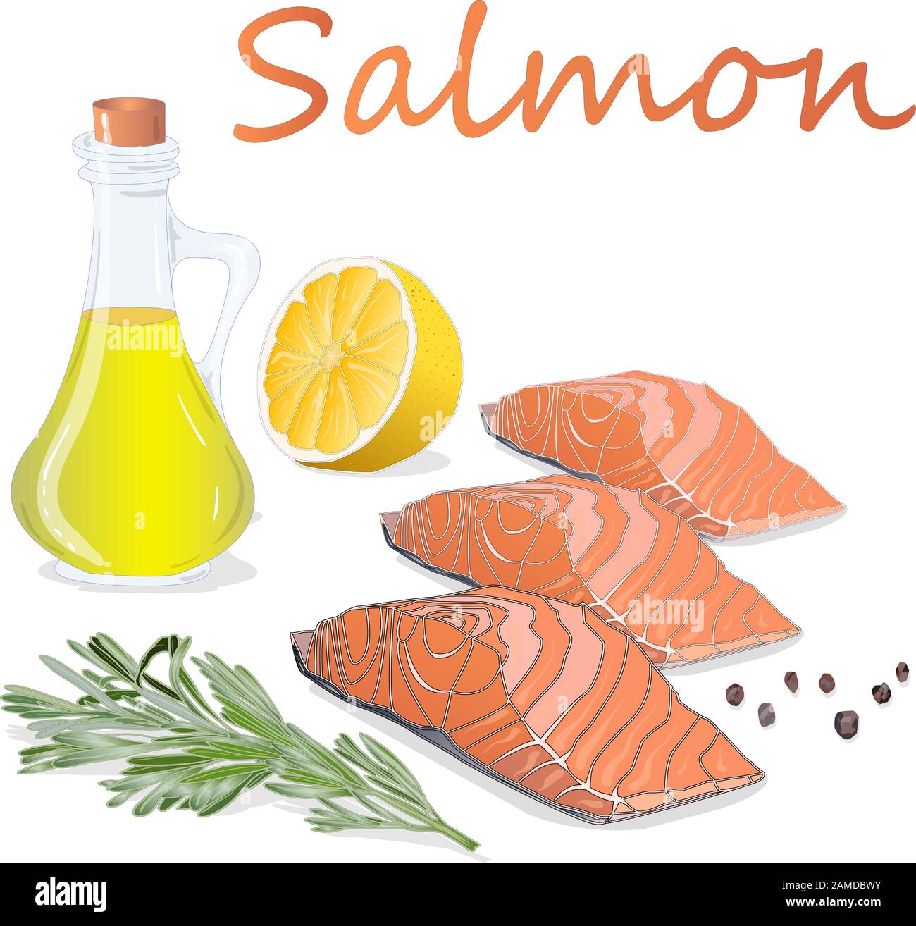 Raw salmon fillets with herbs on white background. Vector illustration ...