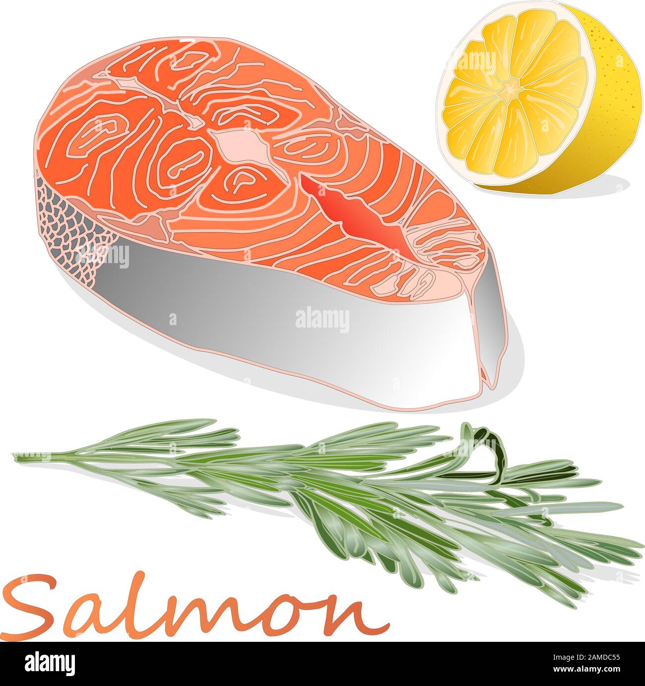 Raw salmon fillets with herbs on white background. Vector illustration ...