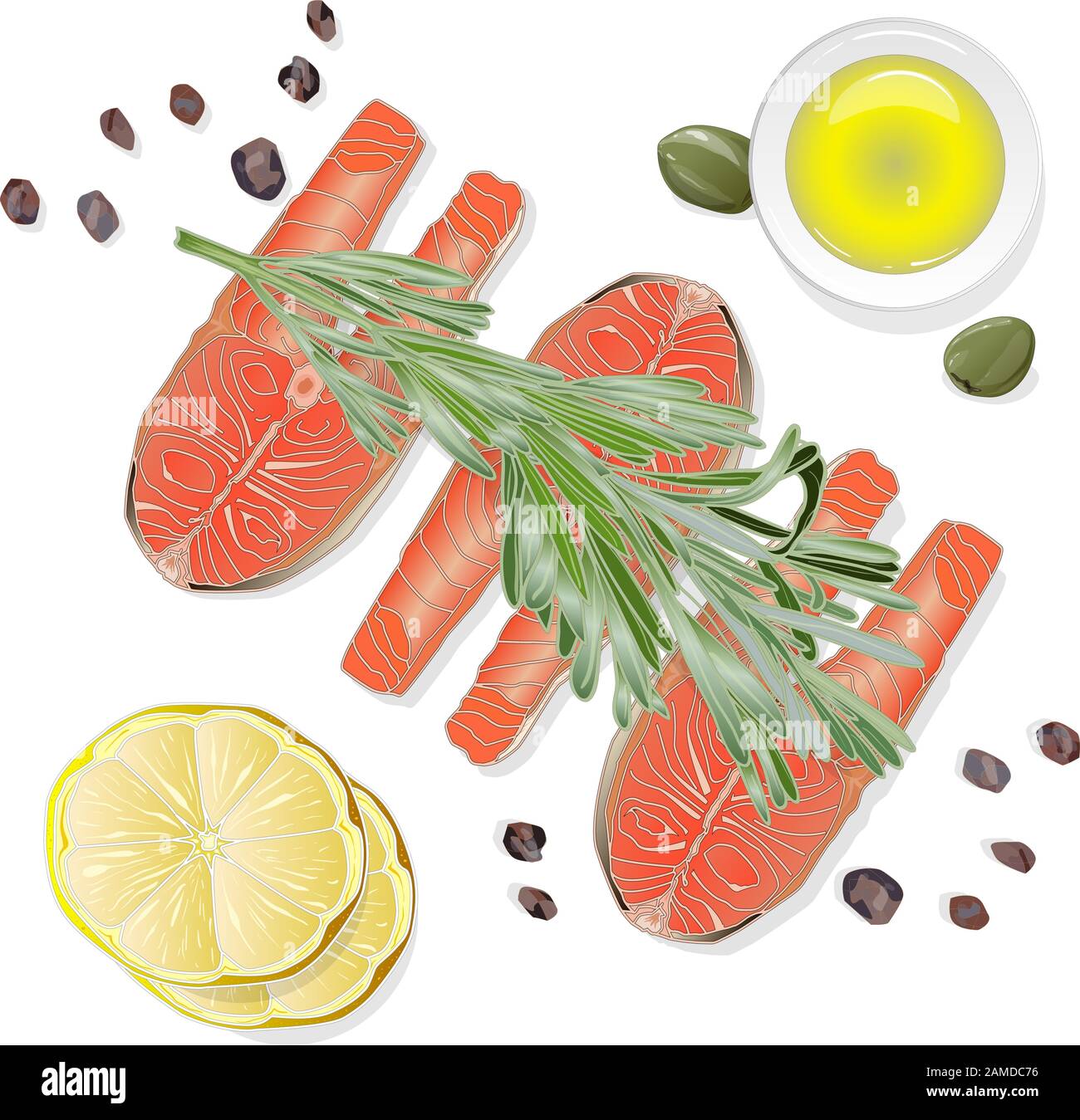 Raw salmon fillets with herbs on white background. Vector illustration ...