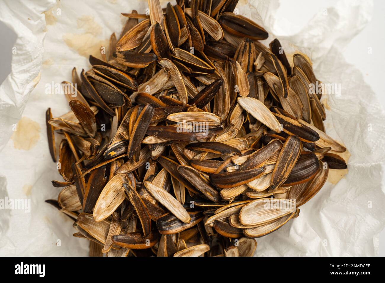 The Sunflower seed shells. Background empty Sunflower seed shells Stock ...