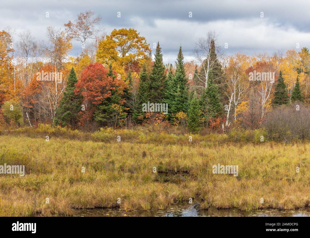 Cloudy day with red yellow autumn trees hi-res stock photography and ...