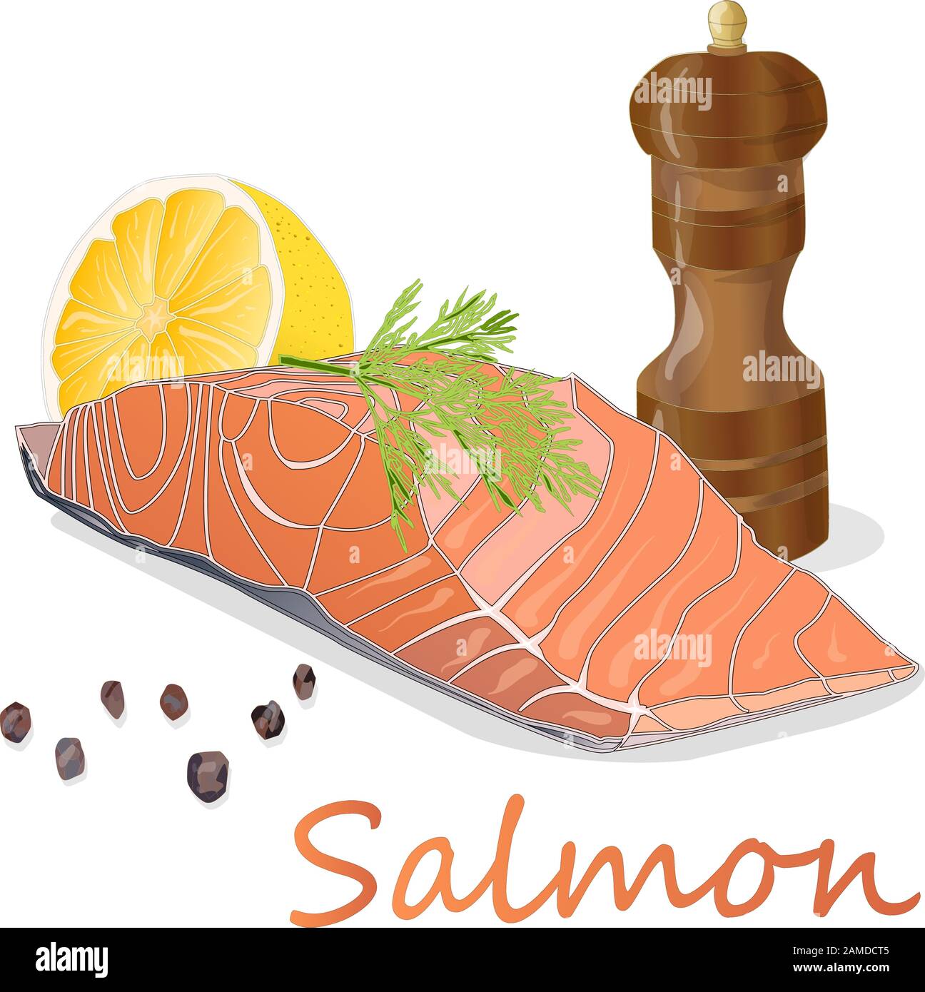 Raw salmon fillets with herbs on white background. Vector illustration ...