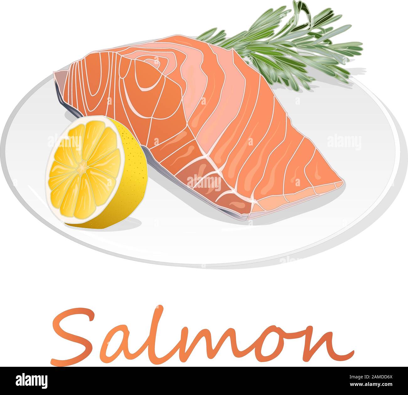 Raw salmon fillets with herbs on the plate. White background. Vector ...