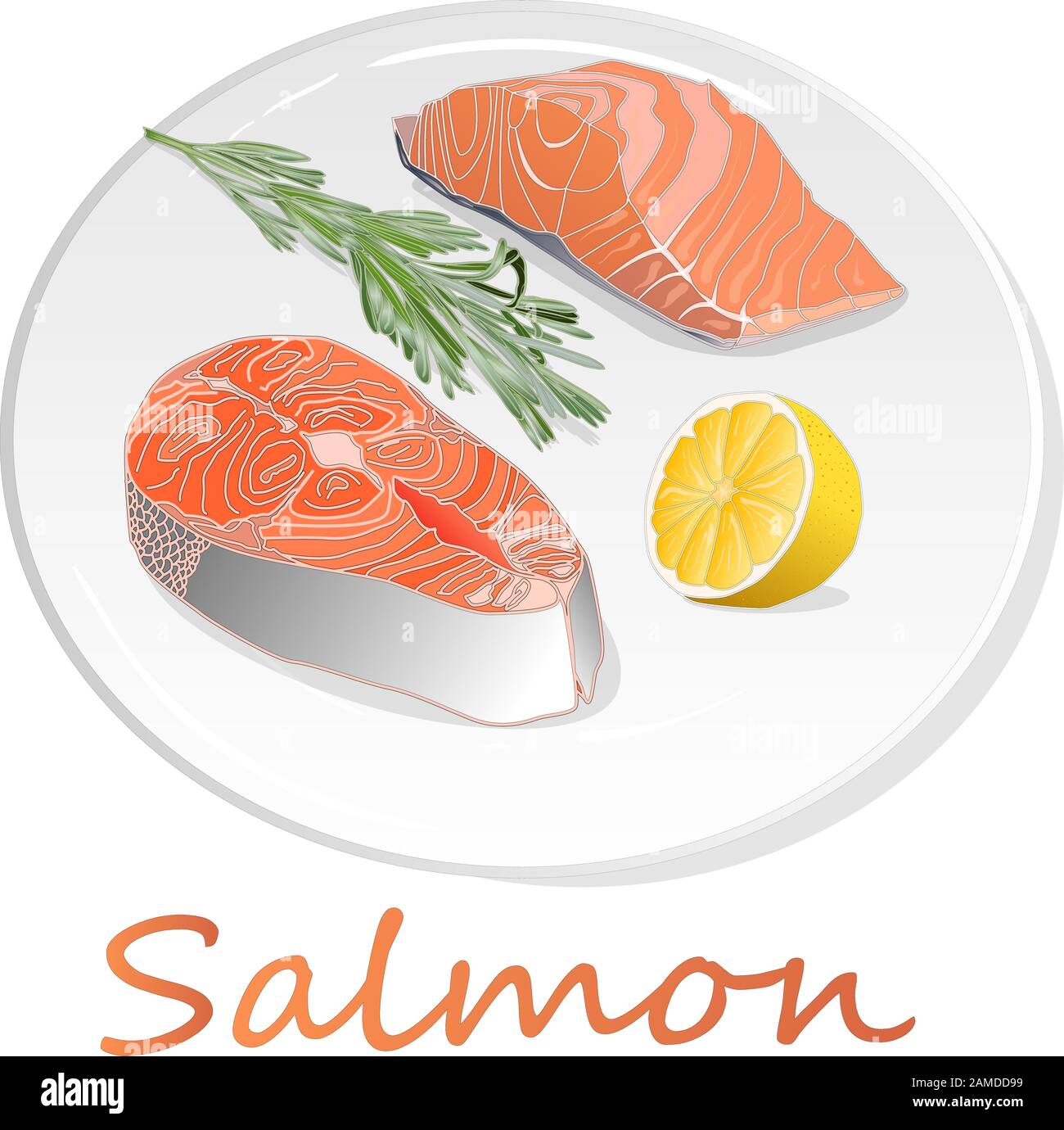Raw salmon fillets with herbs on the plate. White background. Vector ...