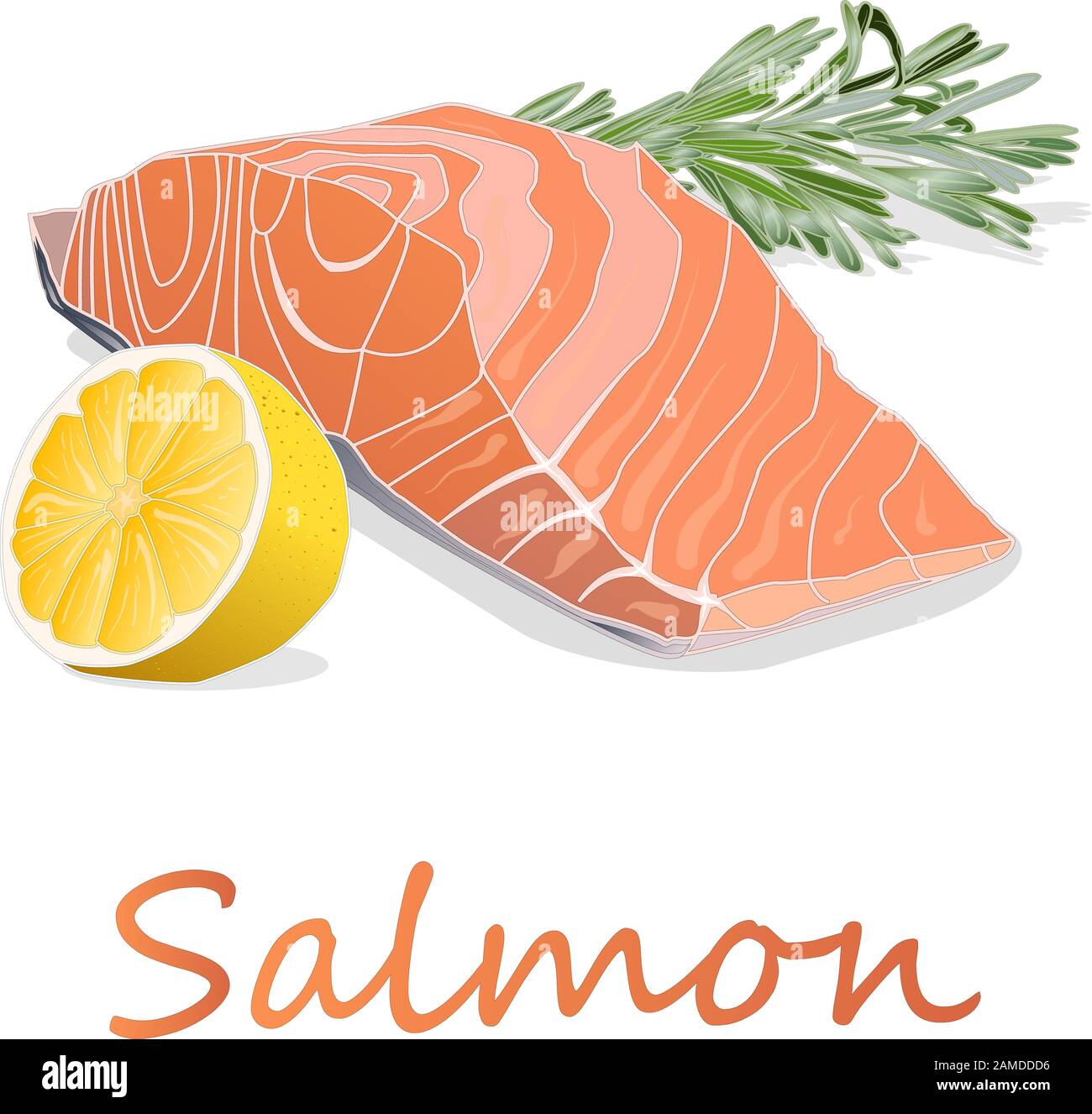 Raw salmon fillets with herbs on white background. Vector illustration ...