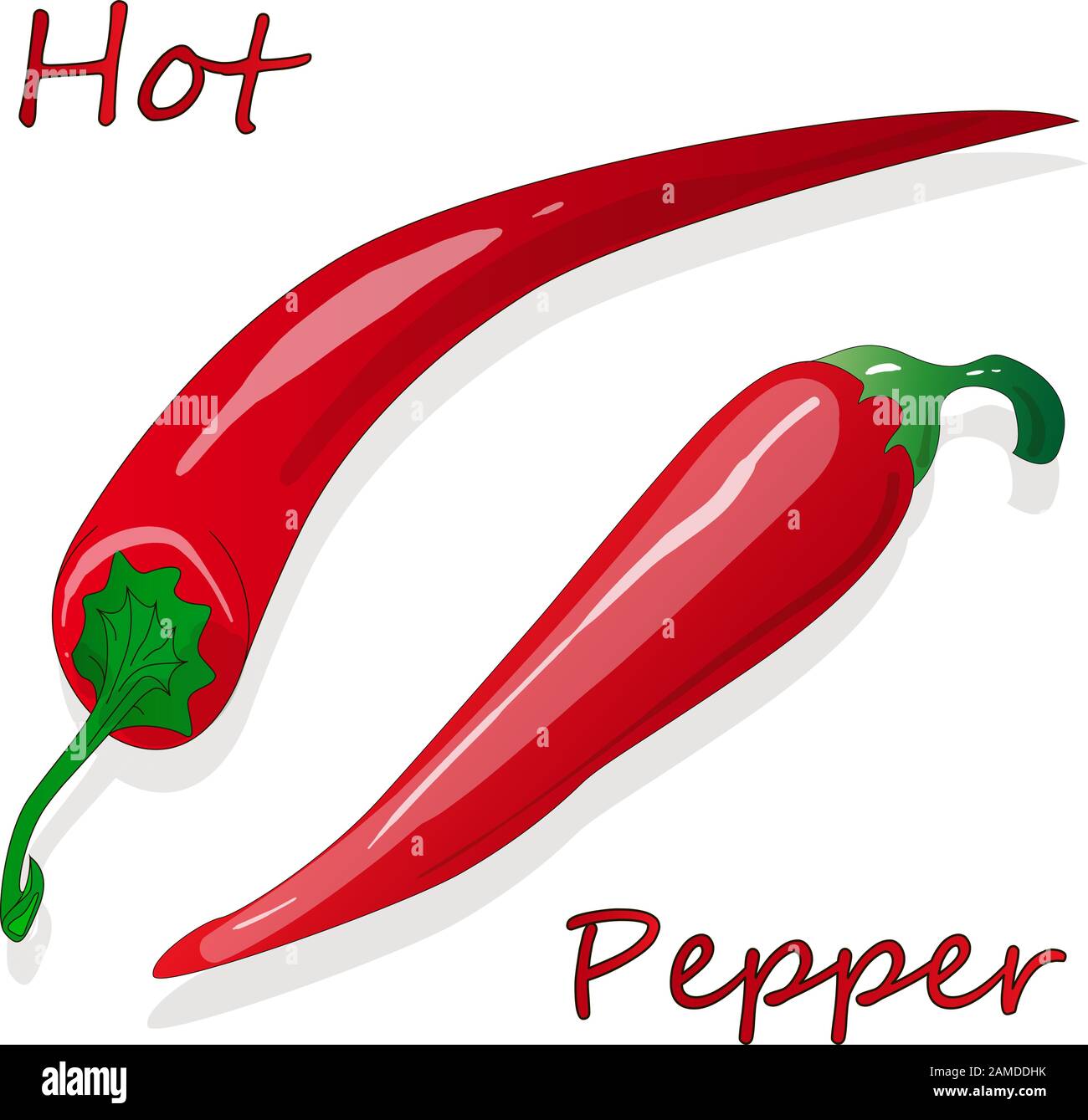 Closeup view pepper on white background, raw food ingredient concept ...