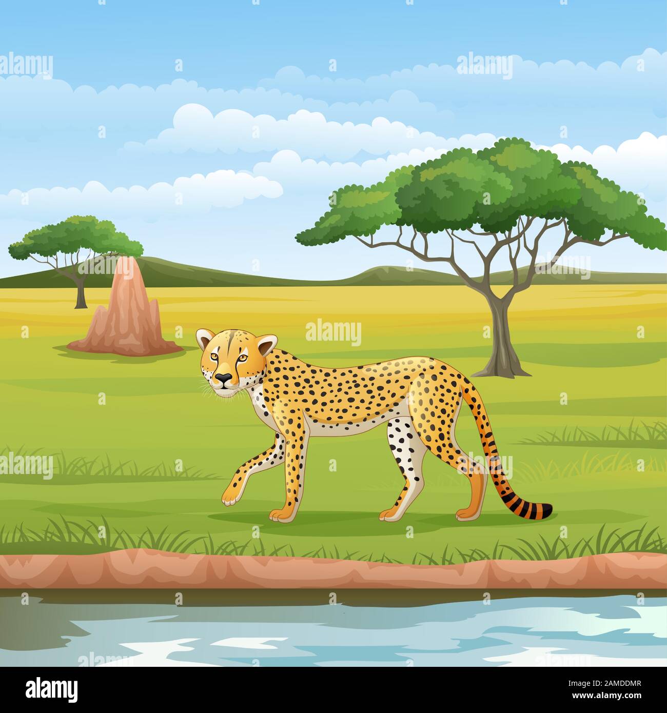 Cartoon cheetah in the savannah Stock Vector Image & Art - Alamy