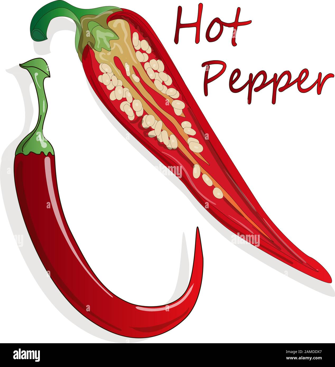 Closeup view pepper on white background, raw food ingredient concept ...