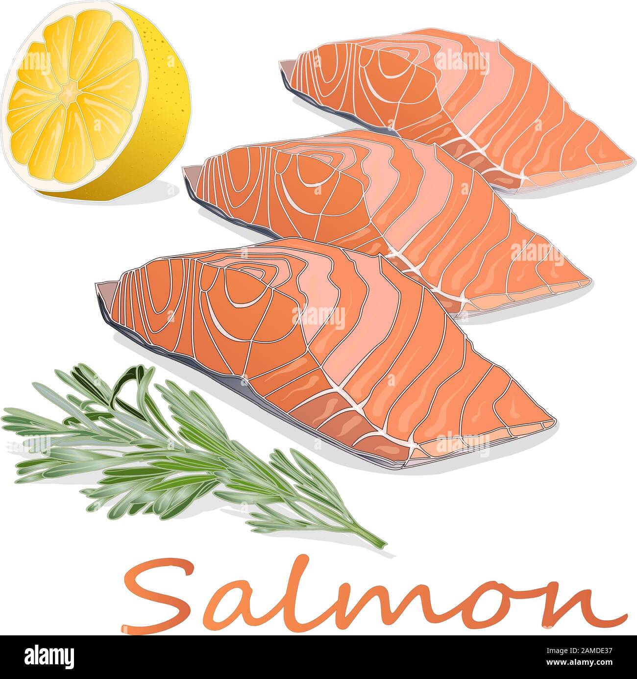 Raw salmon fillets with herbs on white background. Vector illustration ...