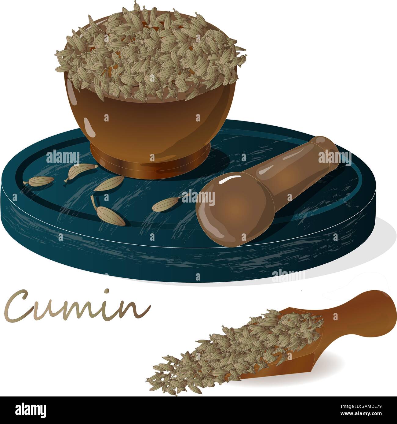 Jeera seed Stock Vector Images - Alamy