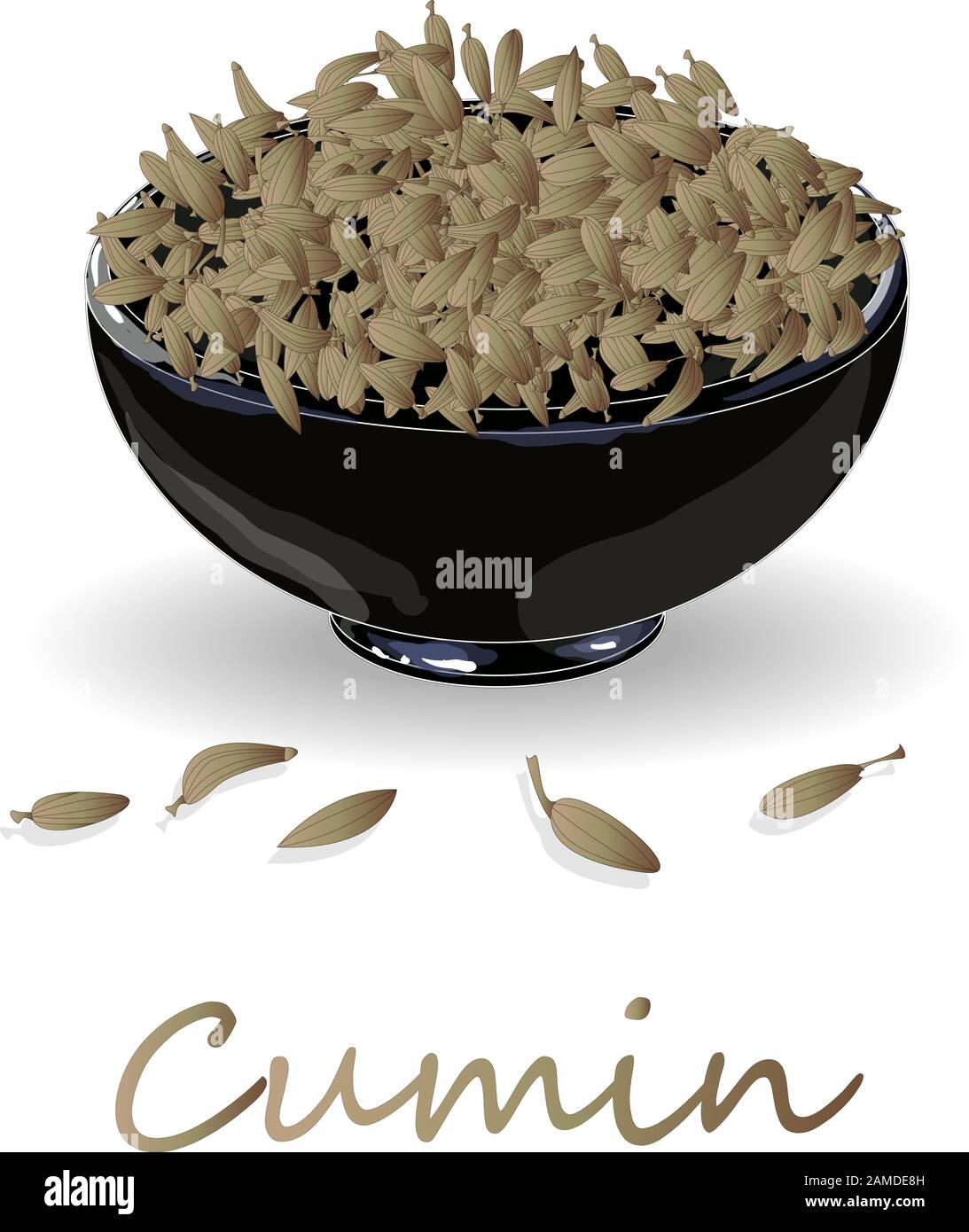 Jeera seed Stock Vector Images - Alamy