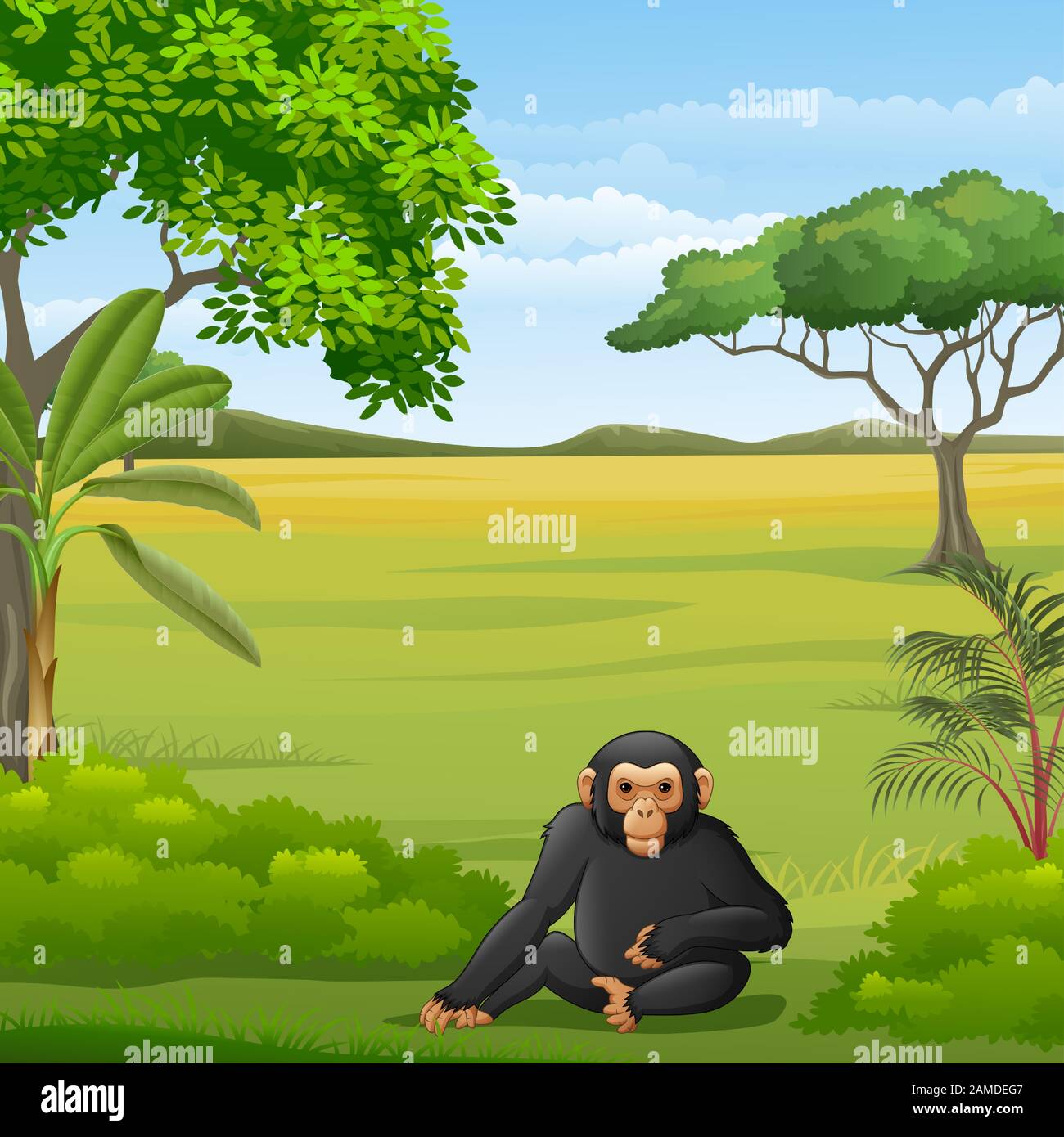 Cartoon chimpanzee in the savannah Stock Vector Image & Art - Alamy