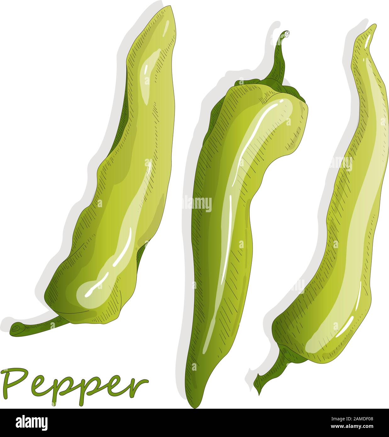 Closeup view pepper on white background, raw food ingredient concept ...