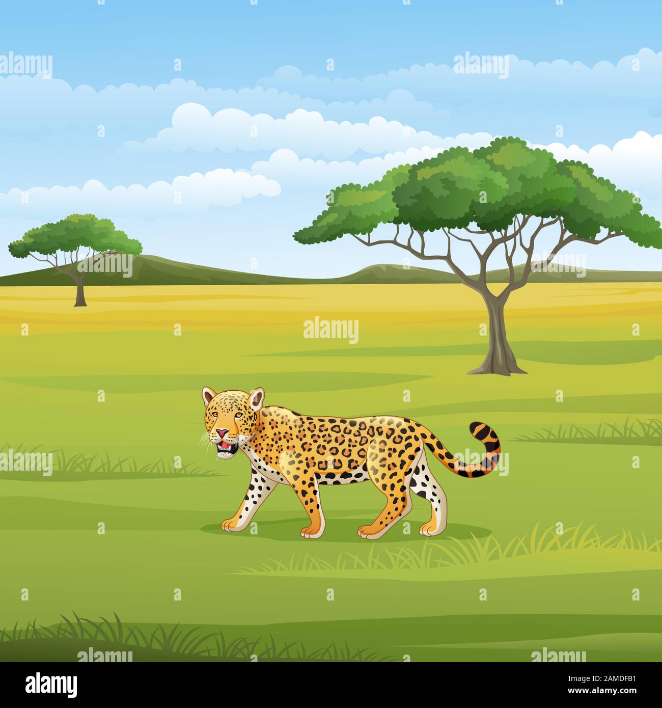 Leopard in savanna Stock Vector Images - Alamy