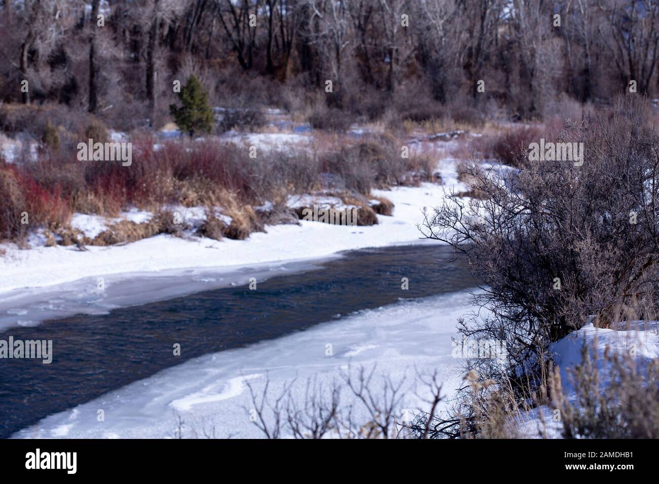 winter scene on an icy river with dried grasses and snowy banks Stock ...