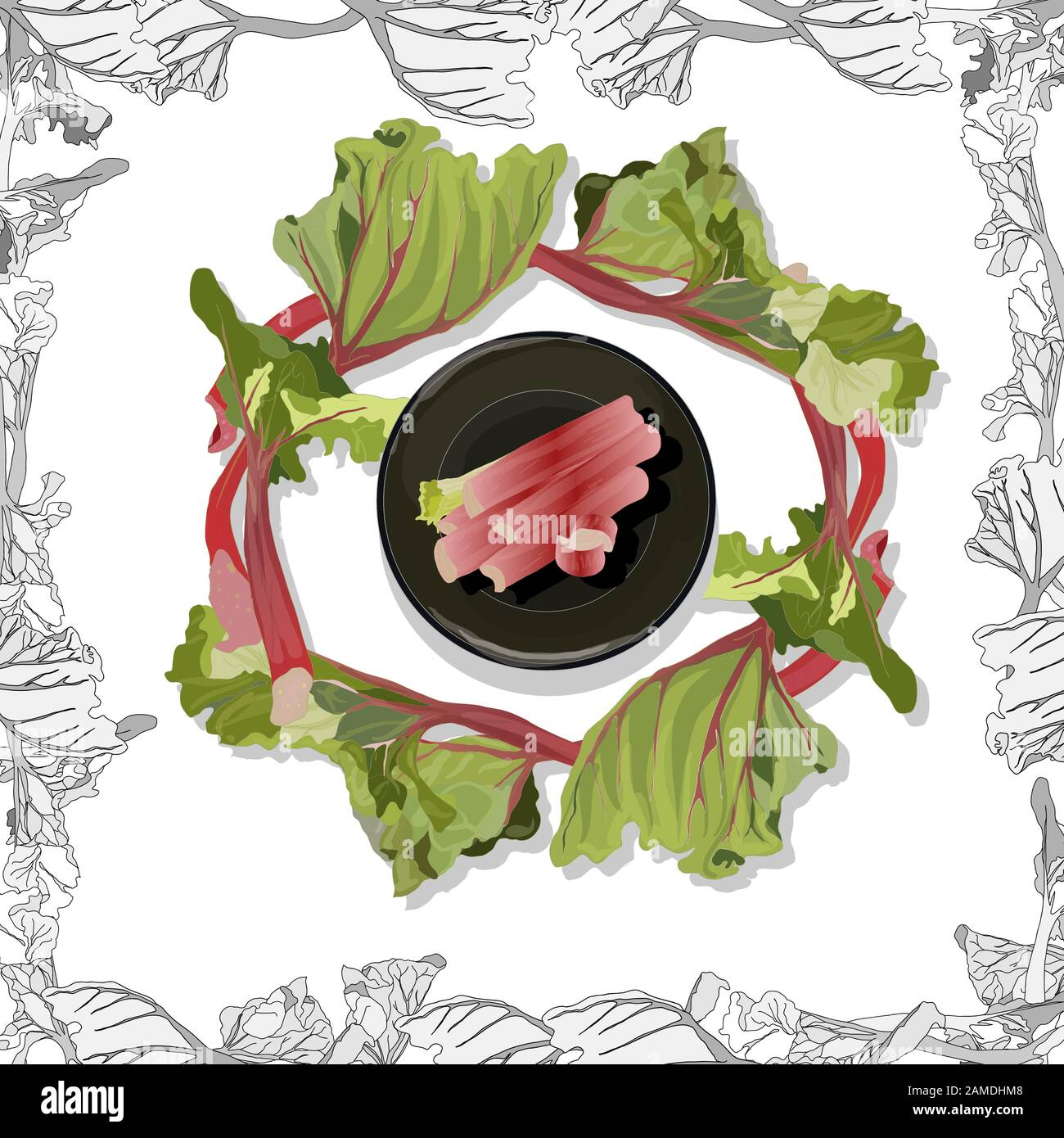 Fresh rhubarb illustration isolated on white background. Vector image ...