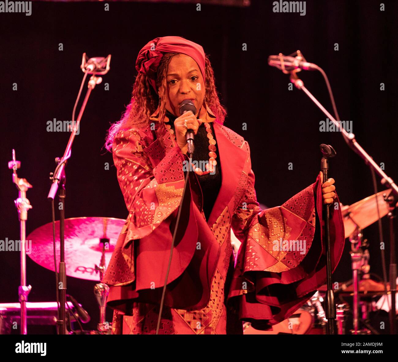 New York, NY - January 12, 2020: Joan Belgrave performs during From ...