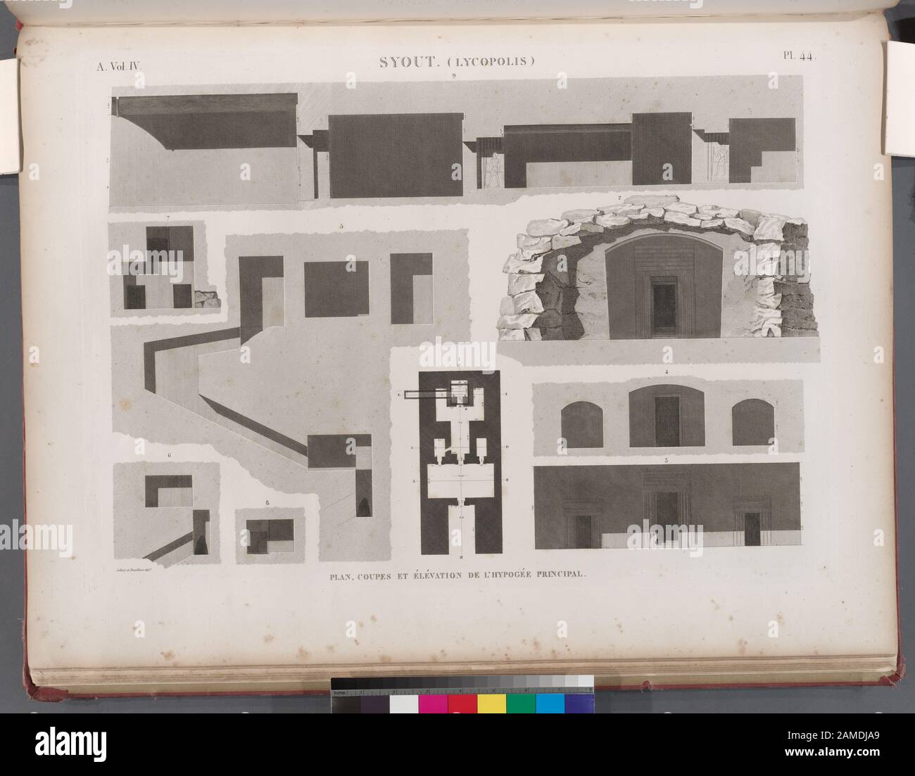 Lycopolis hi-res stock photography and images - Alamy