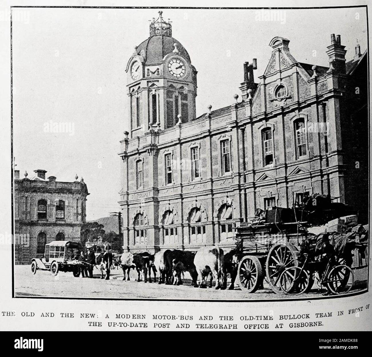 Bullock team hi-res stock photography and images - Alamy