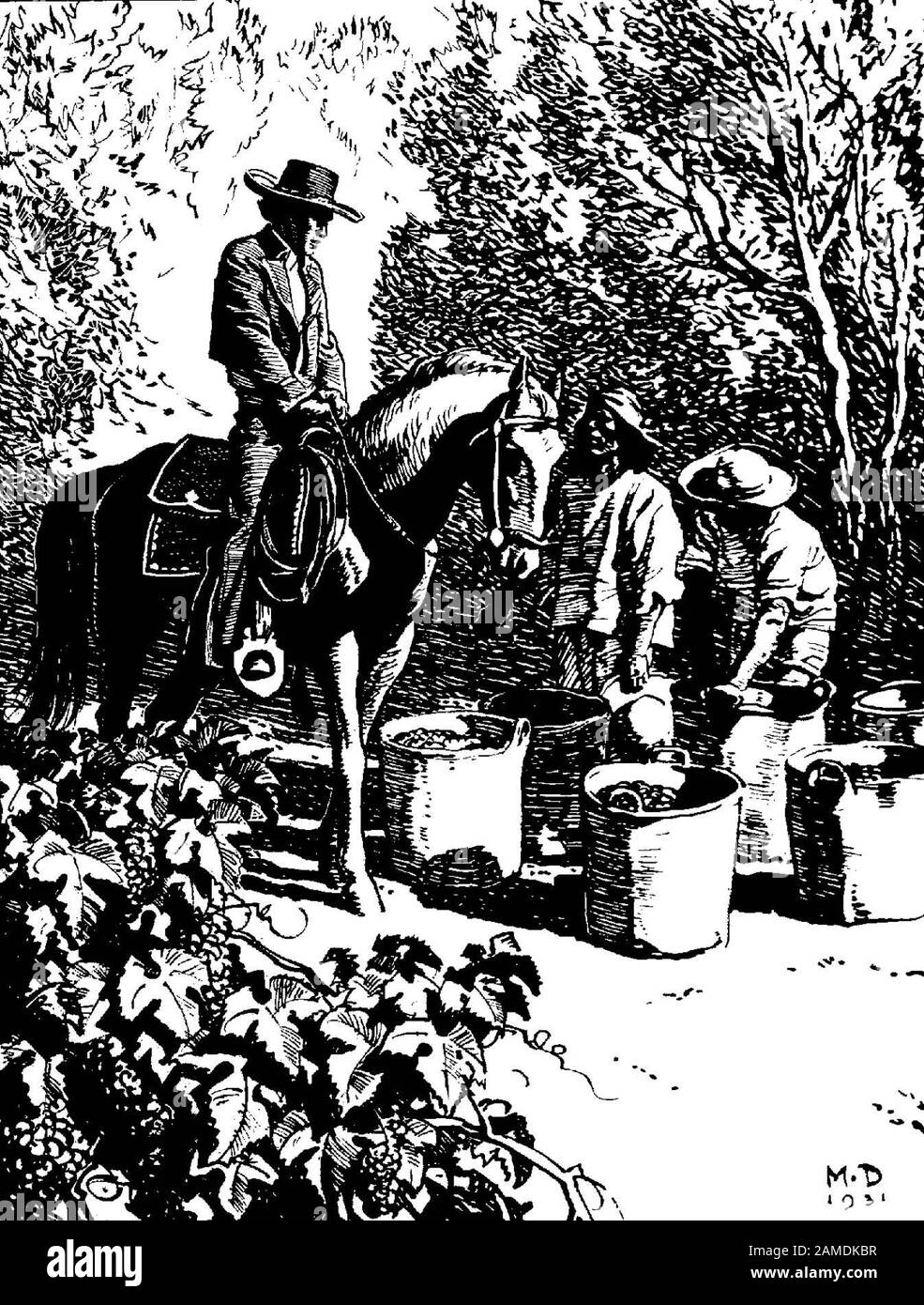 Hugo reid hi-res stock photography and images - Alamy