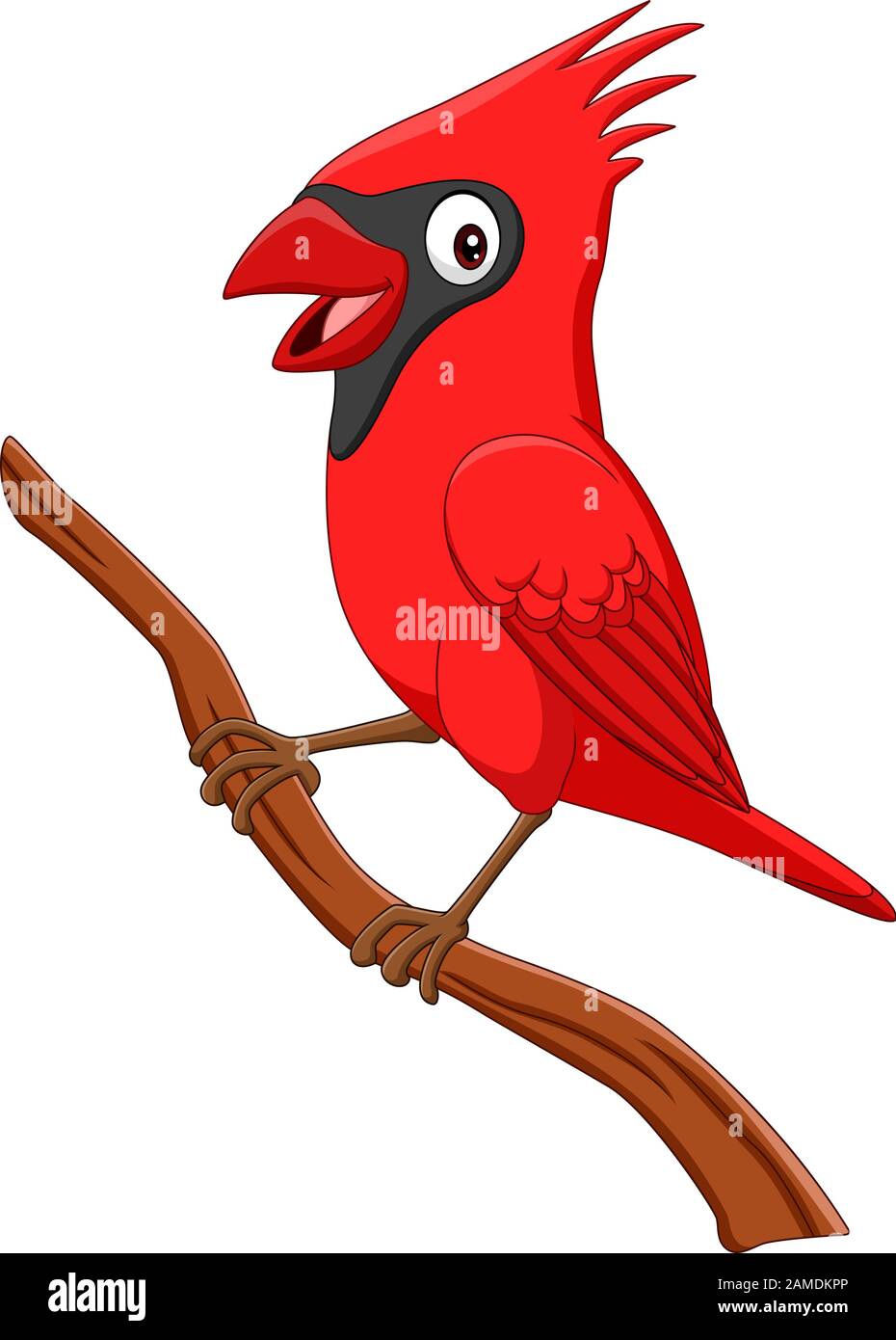Cardinal on tree branch Cut Out Stock Images & Pictures - Alamy