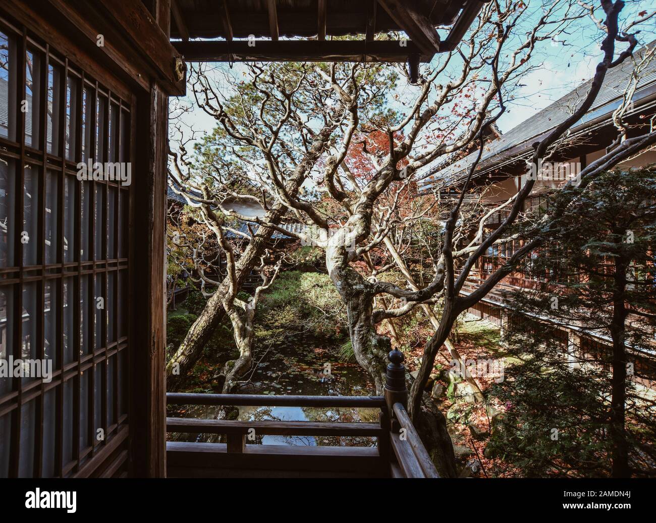 Sendai Japan Autumn High Resolution Stock Photography and Images - Alamy