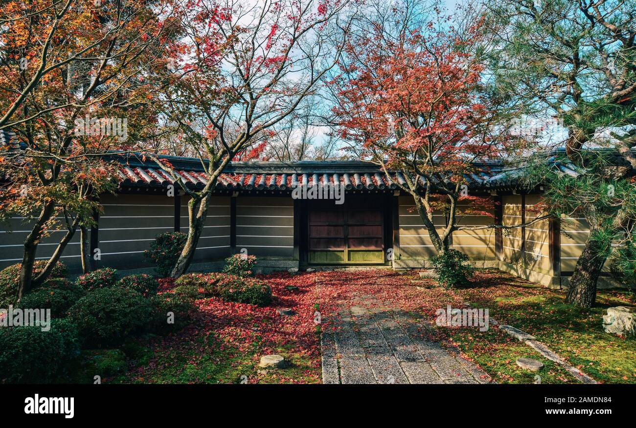 Sendai japan autumn hi-res stock photography and images - Alamy