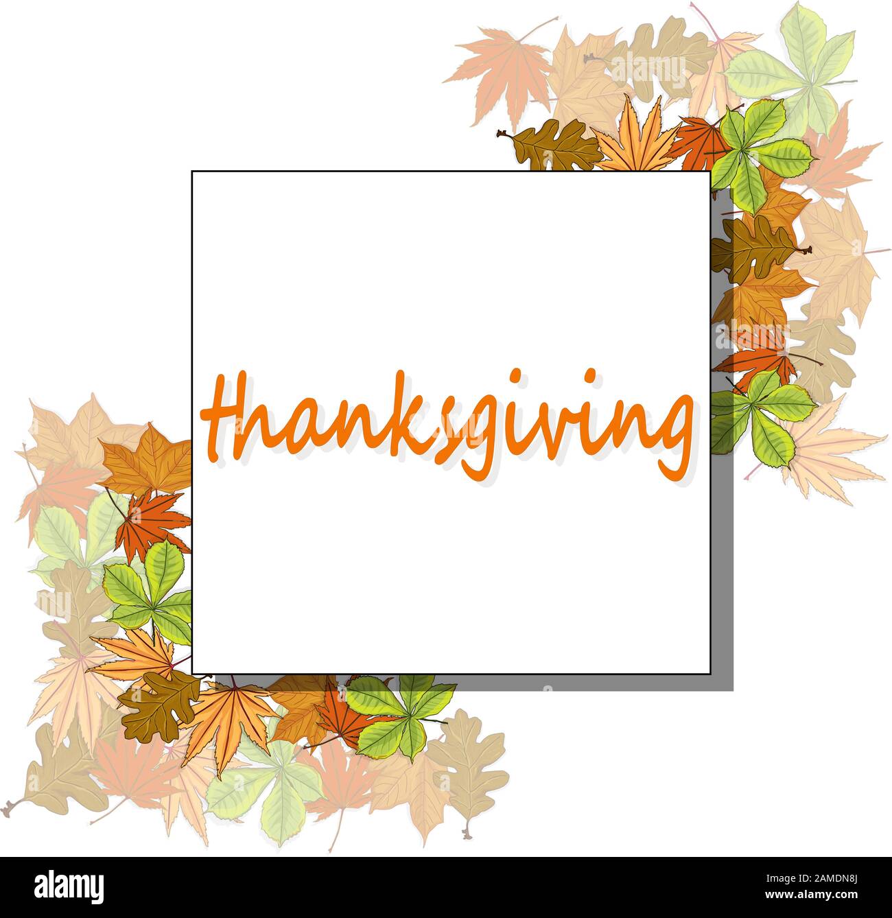 Happy Thanksgiving script with pumpkins and leaves vector illustration ...