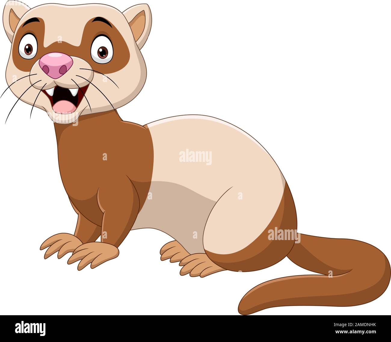 Cartoon funny ferret isolated on the white background Stock Vector ...