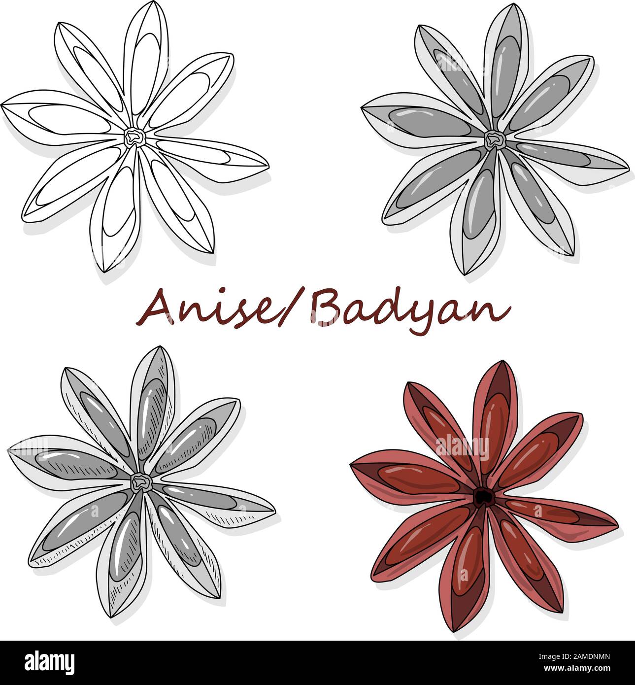 Star Anise Logo